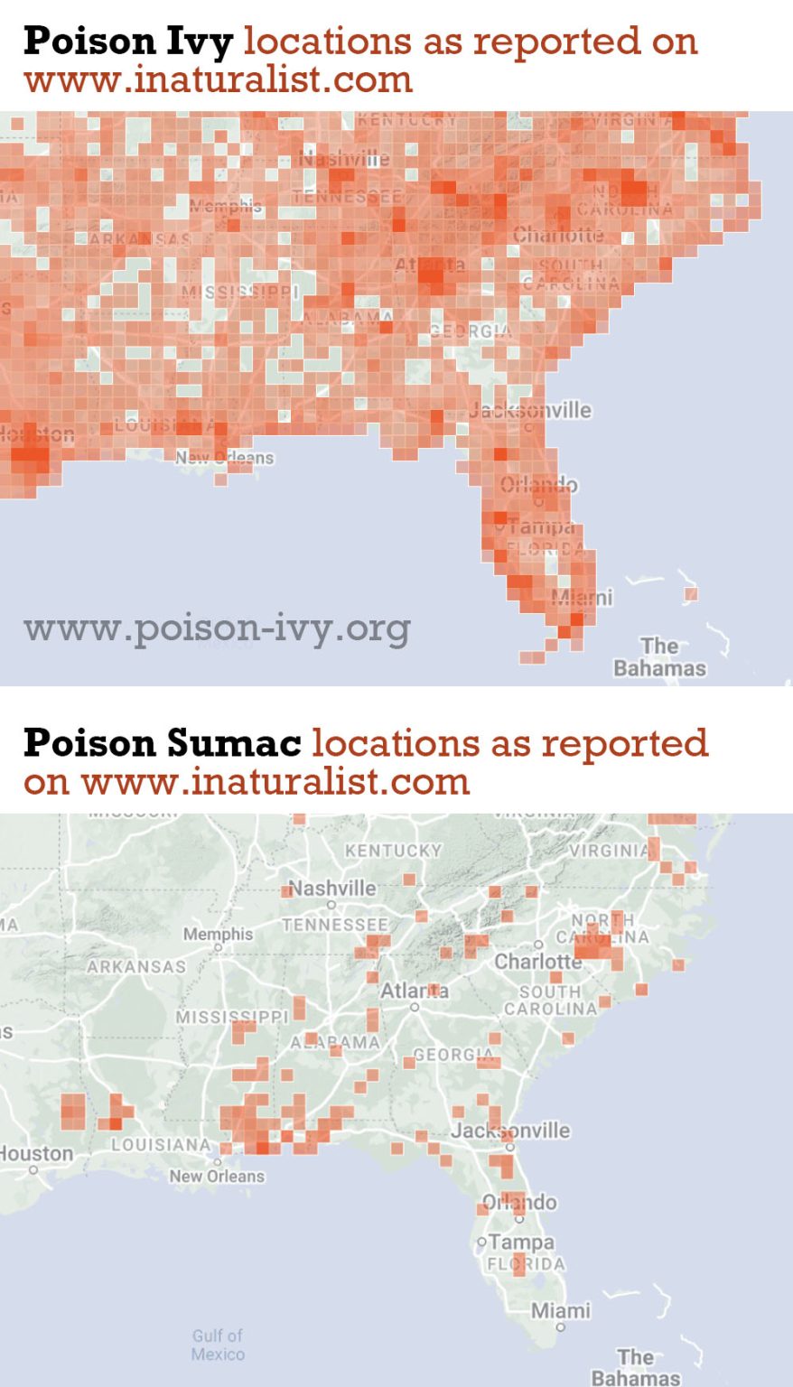 HOME - poison-ivy.org